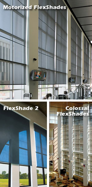 Motorized FlexShades