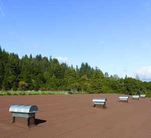 SELF-ADHERING SBS MODIFIED BITUMEN ROOFING SYSTEM