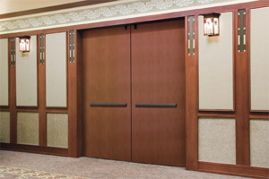 The Real Beauty of the Rite Door is in Your Imagination...