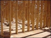 Finger-Jointed Studs