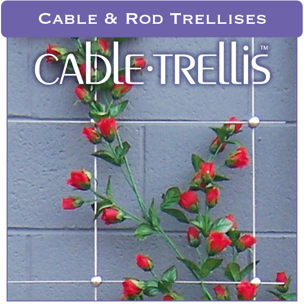 Product Presentation: