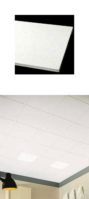 Clean Room MYLAR smooth texture mineral fiber