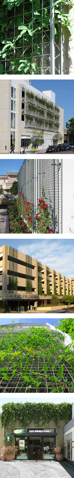 Green Walls / Green Facades