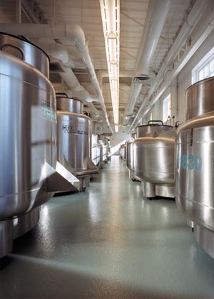 Stonclad HT – Ultra corrosion resistant epoxy floor formulation that ...