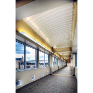 Archdeck Curved Roof Deck Ceiling Systems – Epic Metals - Sweets