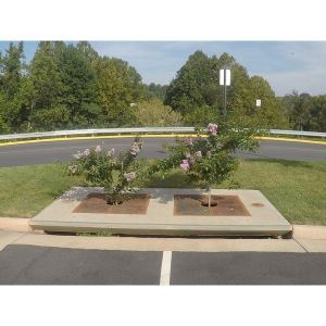 Filterra® Bioretention – Contech Engineered Solutions - Sweets