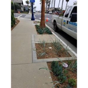 Modular Wetlands® Linear Stormwater Bioretention – Contech Engineered ...