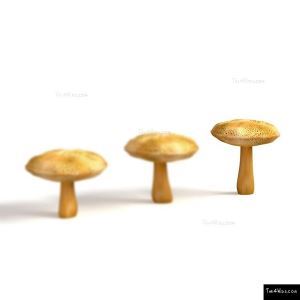 24" Mushroom Stepper – The 4 Kids - Sweets