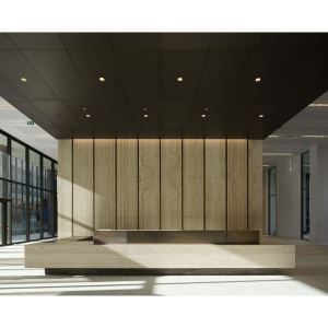 Suspended Ceilings - SAS200 – SAS International - Sweets