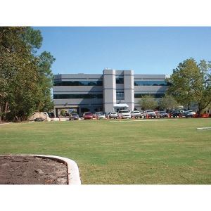 Turf Cell® - Permeable Grass Pavement – Atlantis Corporation - Sweets