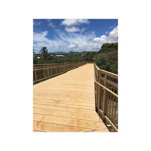 Dynaplank™ Boardwalk Plank – Fibergrate Composite Structures - Sweets