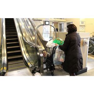 Cartveyor® Shopping Cart Conveyor – Cartveyor (Made by PFlow Industries ...