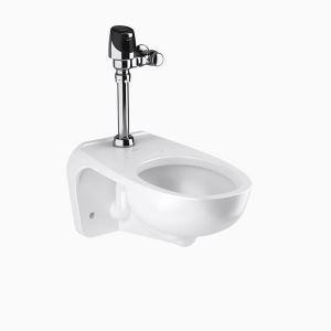 WETS-2450.1201-CO ST-2459 Water Closet and SOLIS 8111 Flushometer ...