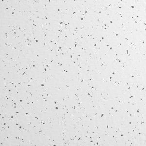 Clean Room Mylar Ceiling Tiles | Shelly Lighting